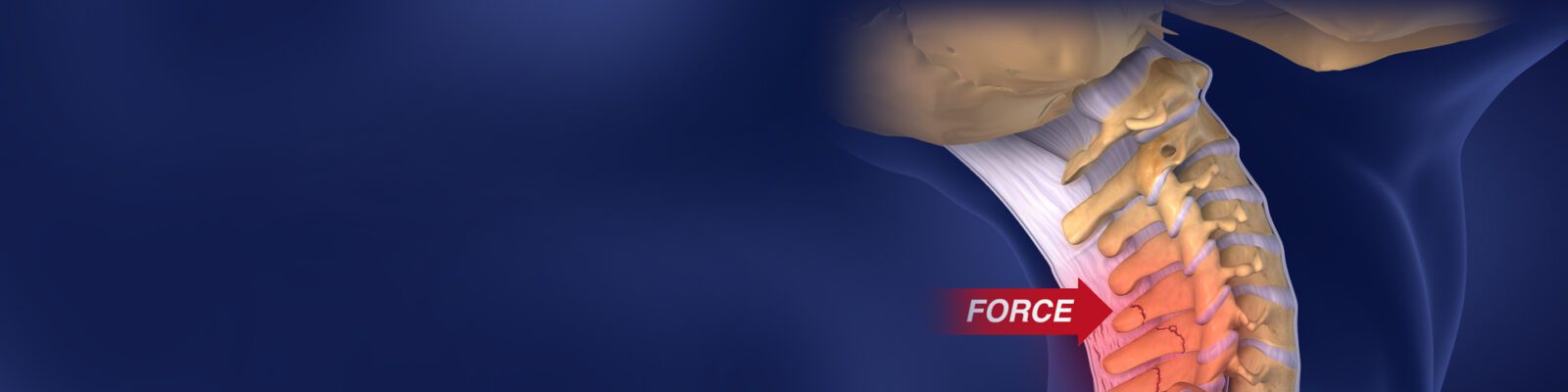 Biomedical Visualization & Scientific Illustrations - Artery Studios