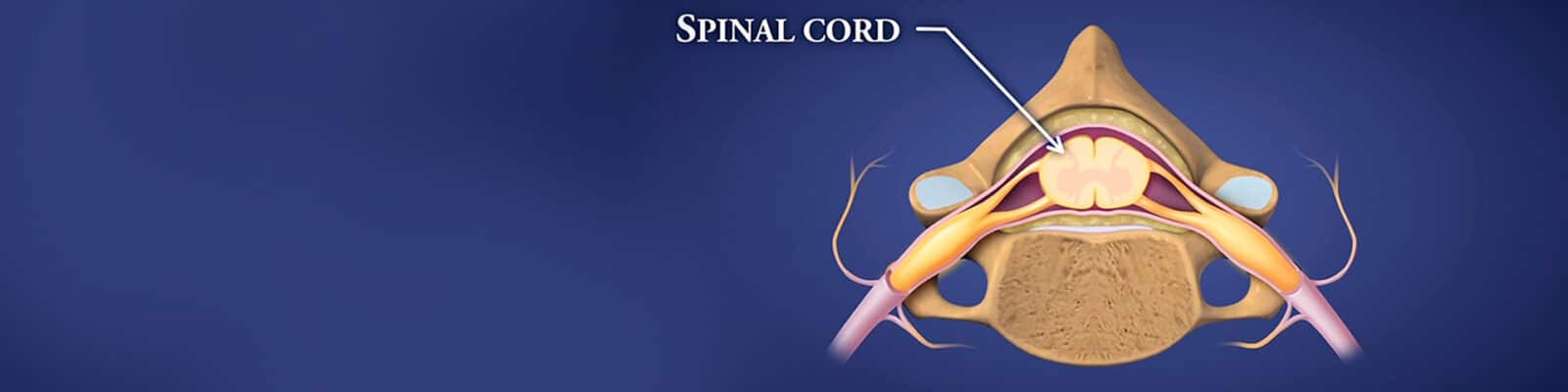 Gallery - Artery Studios